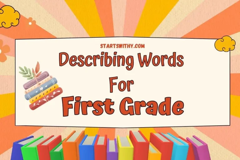 First Grade Adjectives - Examples & Describing Words