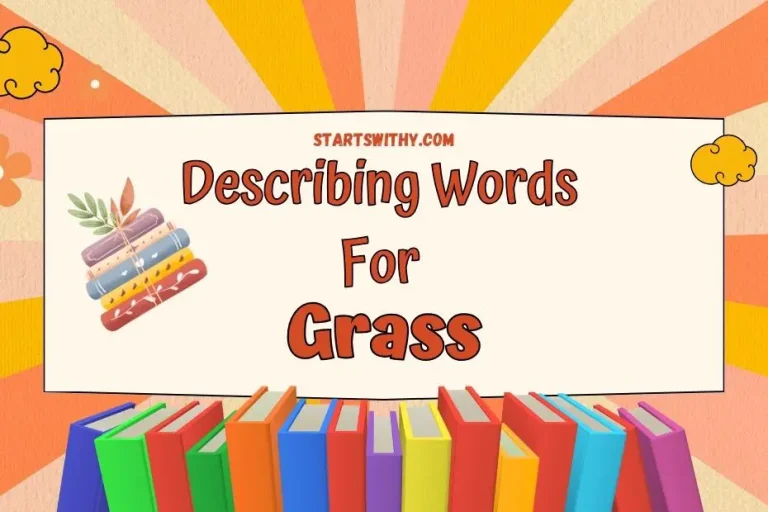 Describing Words for Grass: Examples & Adjectives