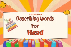 Head Adjectives - Describing Words & Examples