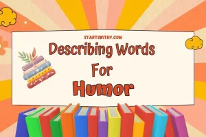 Describing Words for Humor: Examples and Adjectives