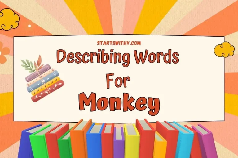 Monkey Adjectives: Describing Words With Examples
