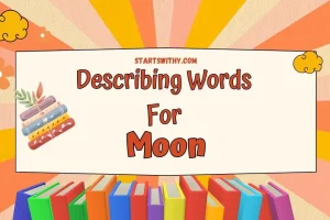 Moon Adjectives - Examples for Describing