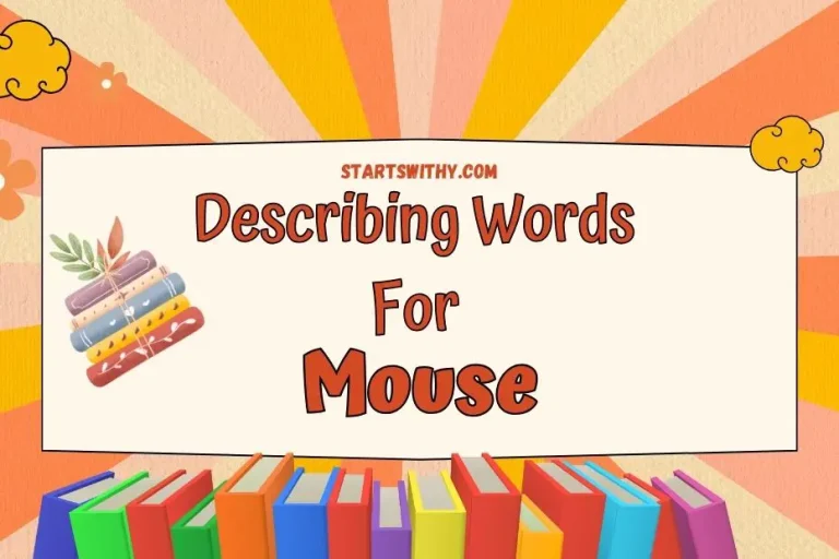 Mouse Adjectives: Examples of Describing Words
