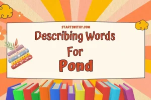 Describing Words for Pond: Synonyms and Examples