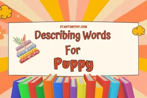 Puppy Adjectives - Examples of Describing Words