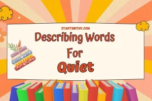 Quiet Describing Words - Examples & Synonyms