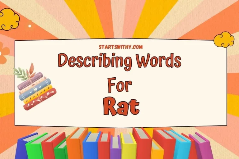 Adjectives for Rat: Describing Words & Examples