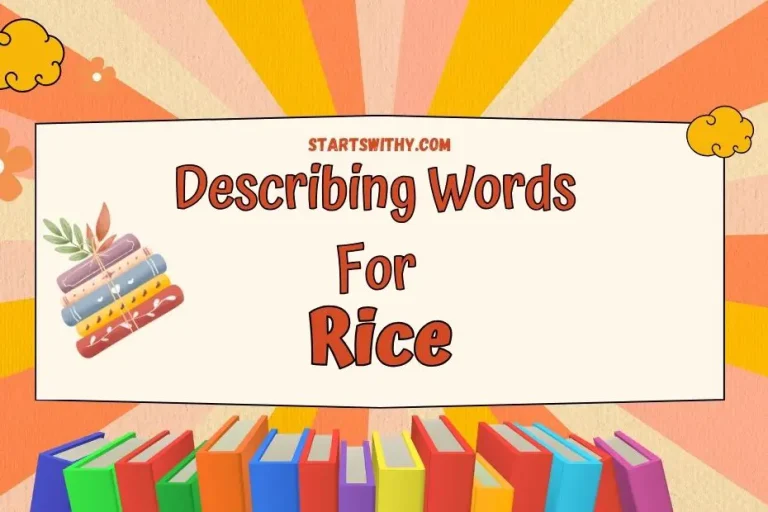 Describing Words for Rice - Examples & Adjectives