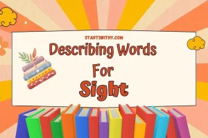 Adjectives for Sight - Examples & Describing Words