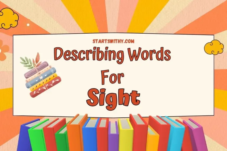 Adjectives for Sight - Examples & Describing Words