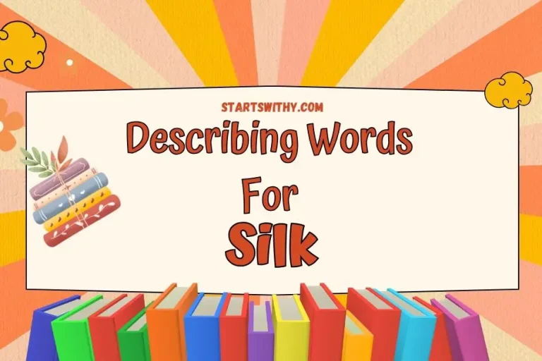Silk Adjectives: Describing Words & Examples
