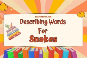 Adjectives for Snakes: Examples & Describing Words
