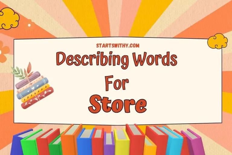 Adjectives for Store: Examples & Descriptive Words