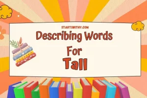 Tall Adjectives - Examples and Describing Words