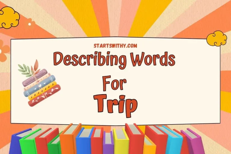 Describing Words for Trip - Examples and Tips