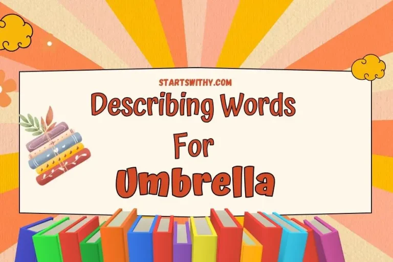 Describing Words for Umbrella - Examples & Uses