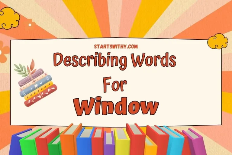 Describing Words for Window: Examples & Adjectives