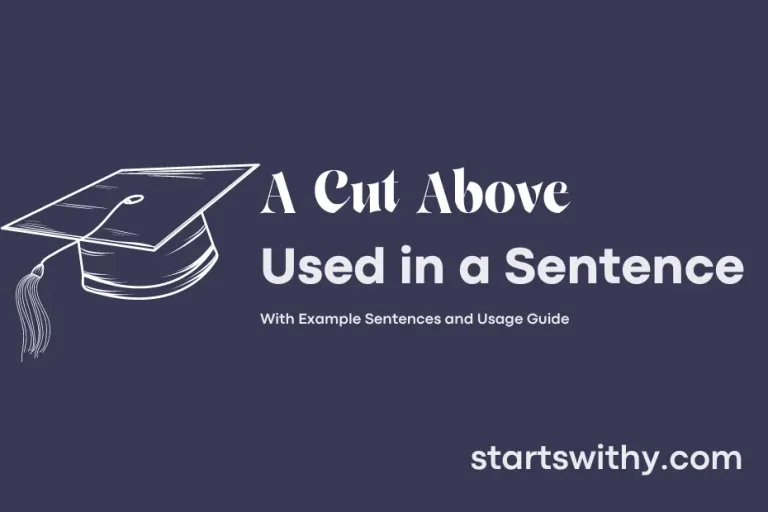 A CUT ABOVE in a Sentence Examples: 21 Ways to Use A Cut Above