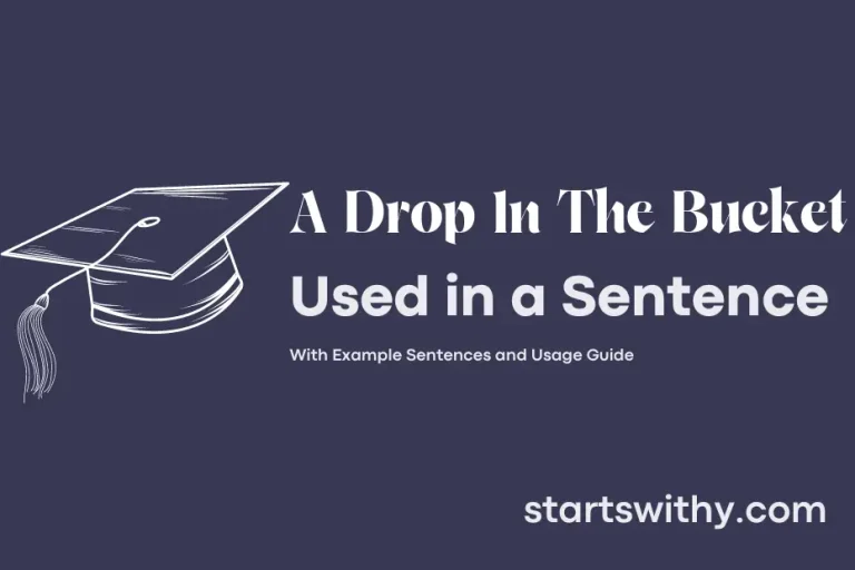 A DROP IN THE BUCKET in a Sentence Examples: 21 Ways to Use A Drop In ...