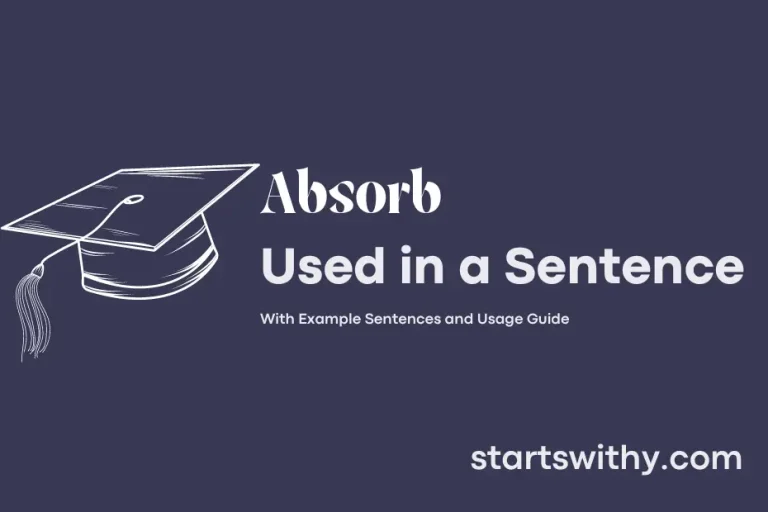 ABSORB in a Sentence Examples: 21 Ways to Use Absorb