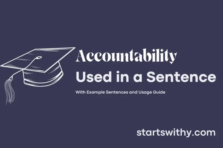 ACCOUNTABILITY in a Sentence Examples: 21 Ways to Use Accountability