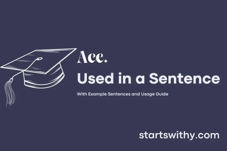 ACE. in a Sentence Examples: 21 Ways to Use Ace.