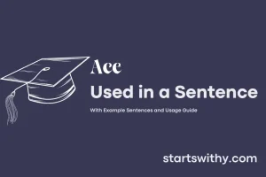 ACE in a Sentence Examples: 21 Ways to Use Ace