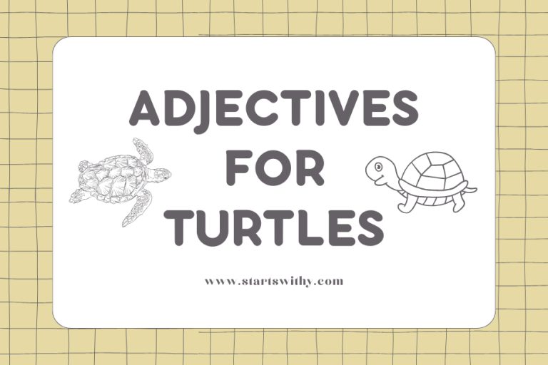 10 Adjectives for Turtles - Examples and Descriptions
