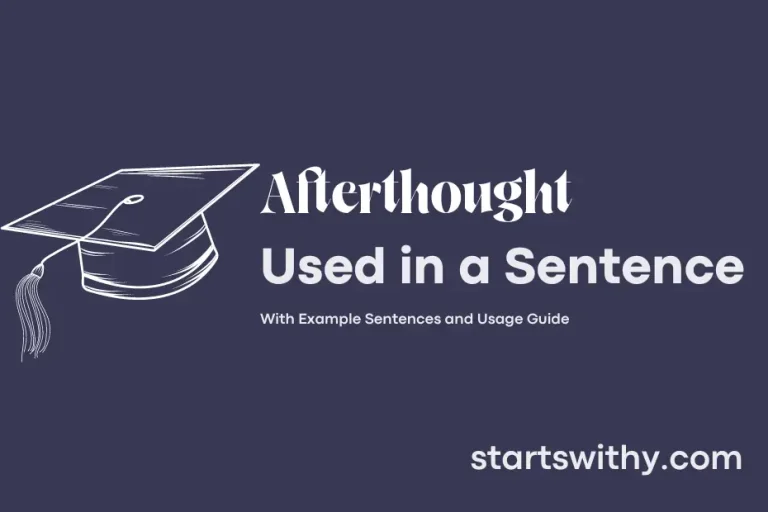 AFTERTHOUGHT in a Sentence Examples: 21 Ways to Use Afterthought
