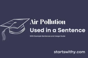 AIR POLLUTION in a Sentence Examples: 21 Ways to Use Air Pollution