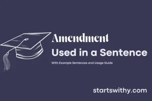 AMENDMENT in a Sentence Examples: 21 Ways to Use Amendment