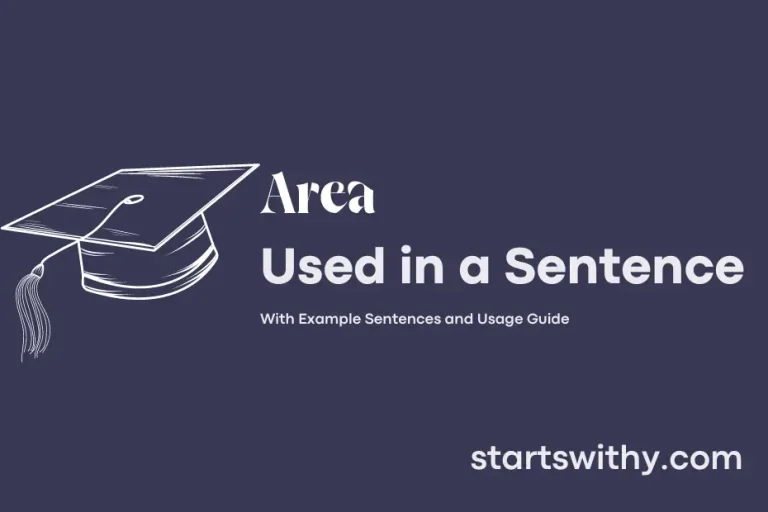 AREA in a Sentence Examples: 21 Ways to Use Area