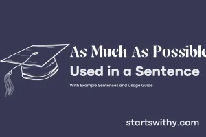 AS MUCH AS POSSIBLE in a Sentence Examples: 21 Ways to Use As Much As ...