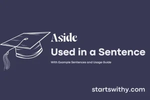 ASIDE in a Sentence Examples: 21 Ways to Use Aside