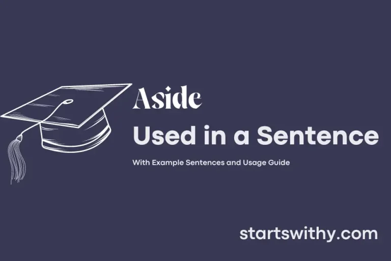 ASIDE in a Sentence Examples: 21 Ways to Use Aside