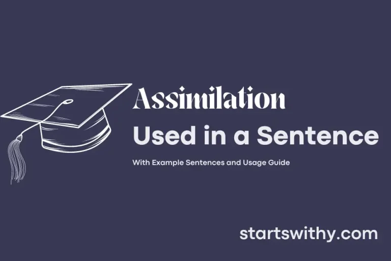ASSIMILATION in a Sentence Examples: 21 Ways to Use Assimilation
