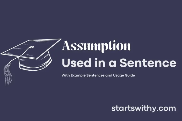 ASSUMPTION in a Sentence Examples: 21 Ways to Use Assumption