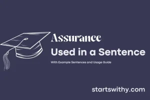 ASSURANCE in a Sentence Examples: 21 Ways to Use Assurance