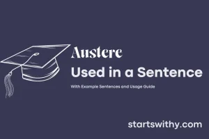 AUSTERE in a Sentence Examples: 21 Ways to Use Austere