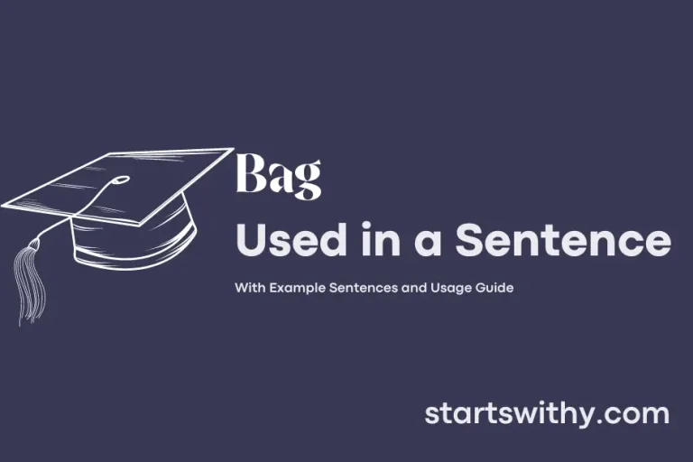 BAG in a Sentence Examples: 21 Ways to Use Bag