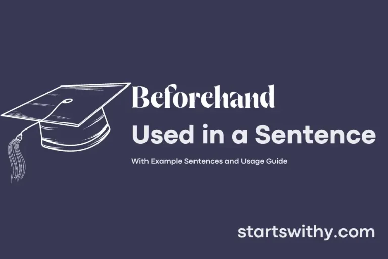 BEFOREHAND in a Sentence Examples: 21 Ways to Use Beforehand