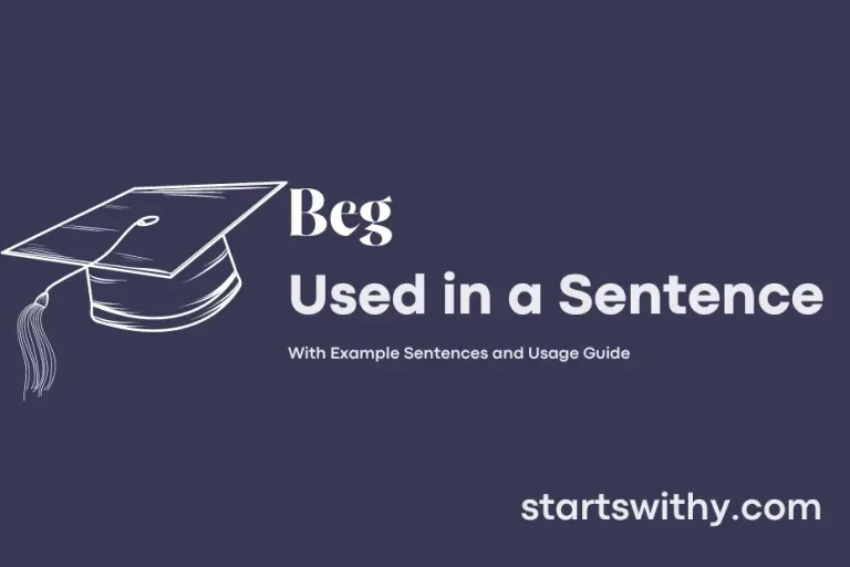 Beg In A Sentence Examples 21 Ways To Use Beg