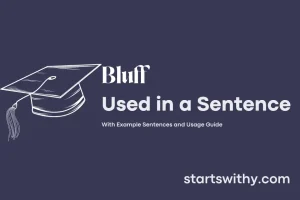 BLUFF in a Sentence Examples: 21 Ways to Use Bluff