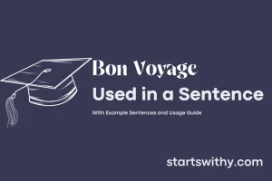 BON VOYAGE in a Sentence Examples: 21 Ways to Use Bon Voyage