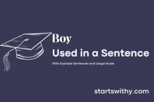 BOY in a Sentence Examples: 21 Ways to Use Boy