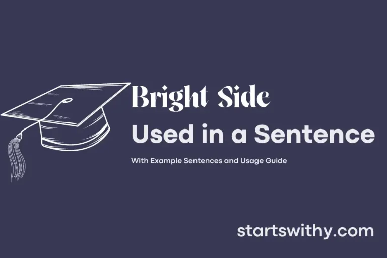 BRIGHT SIDE in a Sentence Examples: 21 Ways to Use Bright Side