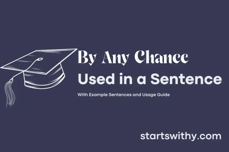 BY ANY CHANCE in a Sentence Examples: 21 Ways to Use By Any Chance