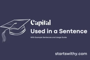CAPITAL in a Sentence Examples: 21 Ways to Use Capital