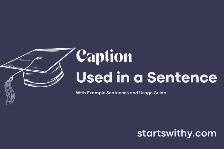CAPTION in a Sentence Examples: 21 Ways to Use Caption