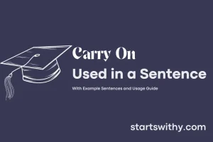 CARRY ON in a Sentence Examples: 21 Ways to Use Carry On